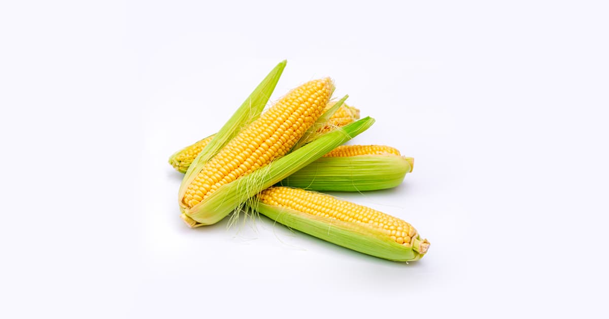 Techniques pour préparer du maïs | Zeste
