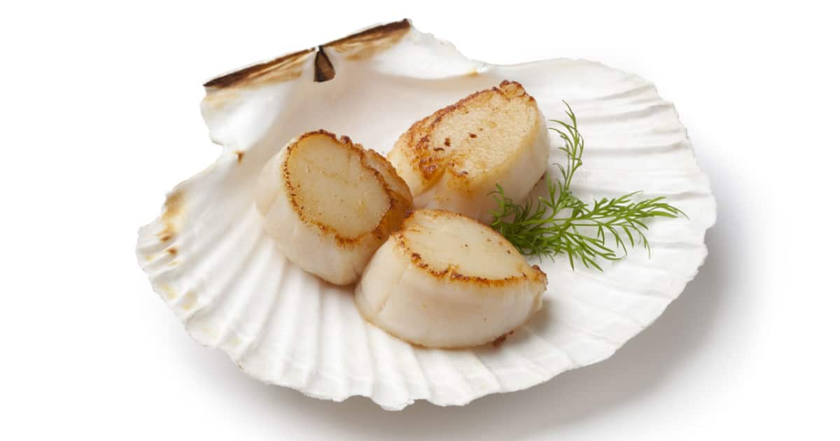 Pétoncle à l'aneth | Zeste