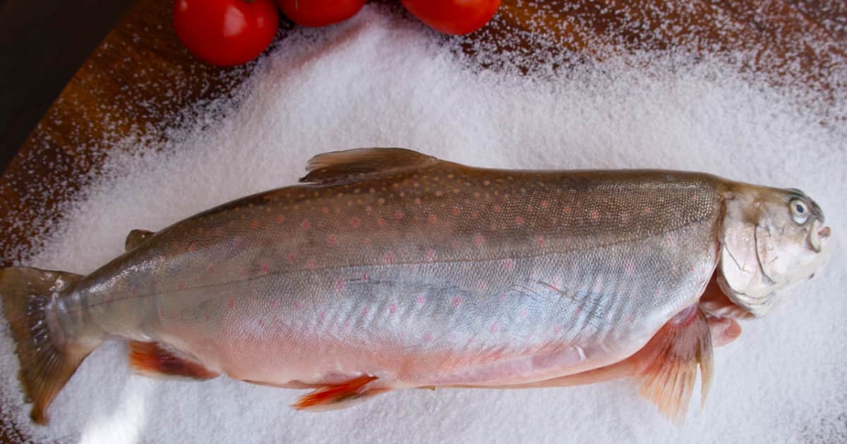 Omble d'Arctique en croûte de gros sel | Zeste