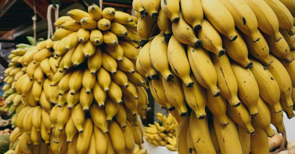 Ce bienfait insoupçonné de la banane pourrait changer votre vie. | Zeste