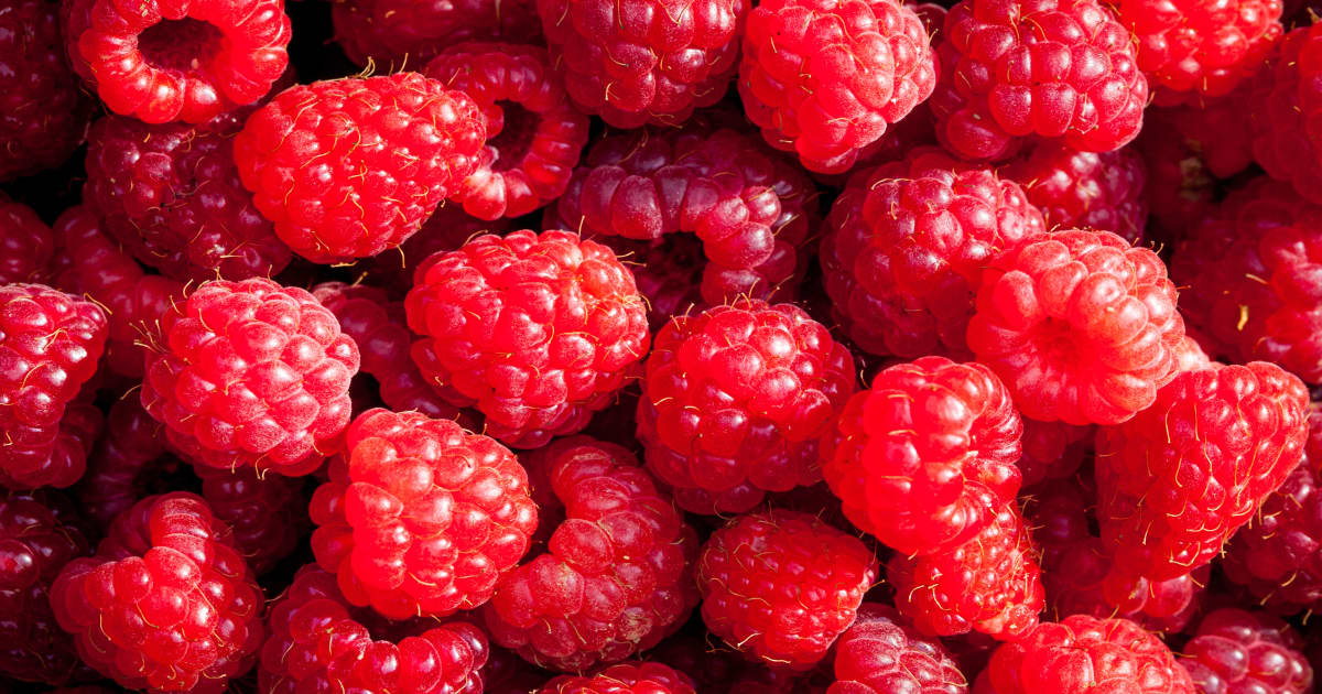 4 trucs pour bien conserver les framboises et les fraises du Québec | Zeste