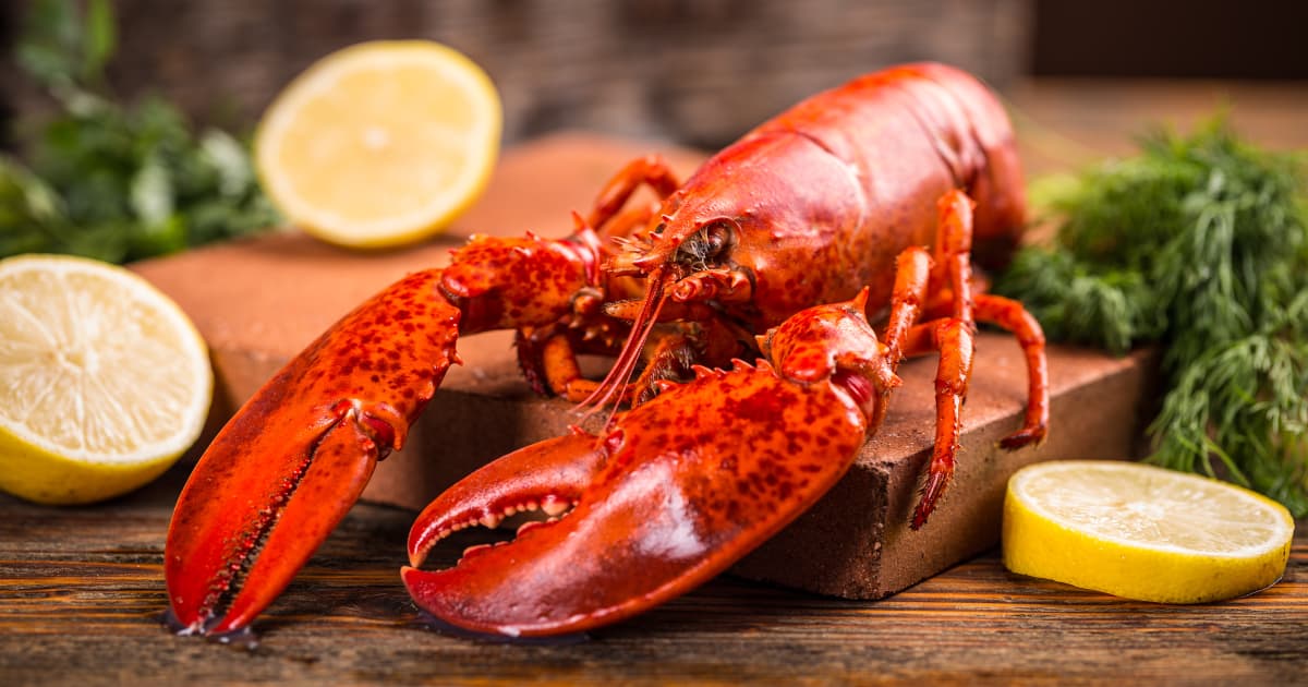 Voici où vous procurer du homard en MÉGA rabais pour la fin de semaine ...