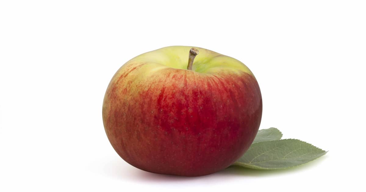 Calendrier de récolte des pommes | Zeste