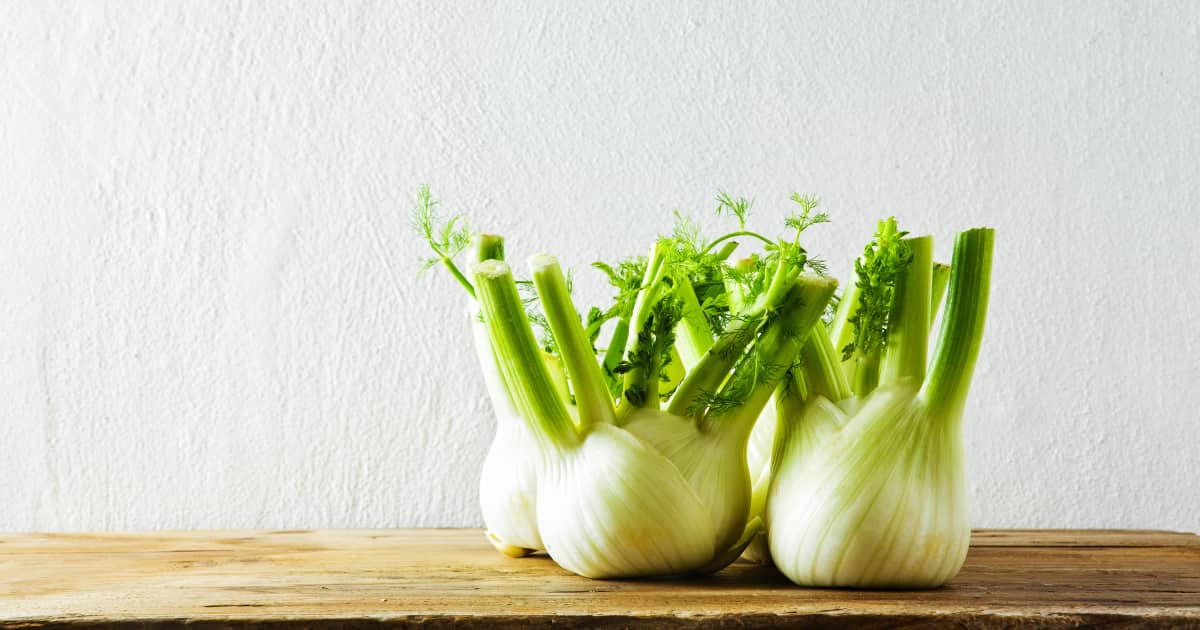 Fenouil: Qu'est ce que c'est et comment le cuisiner | Zeste