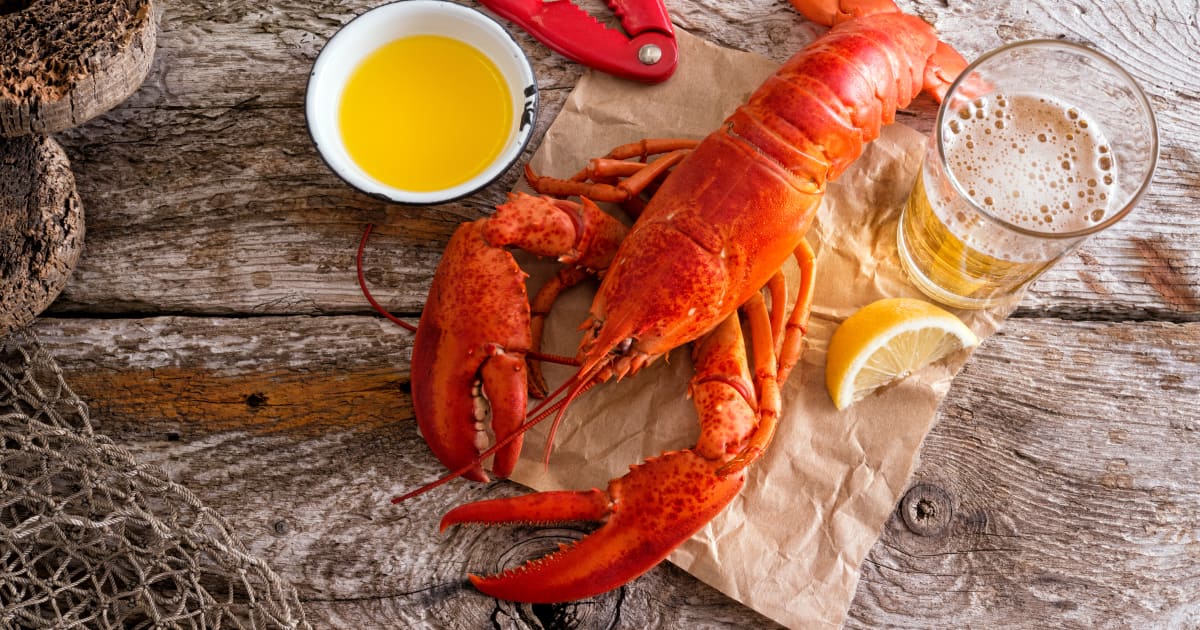Homard du Québec : voici le prix à payer en 2024 | Zeste