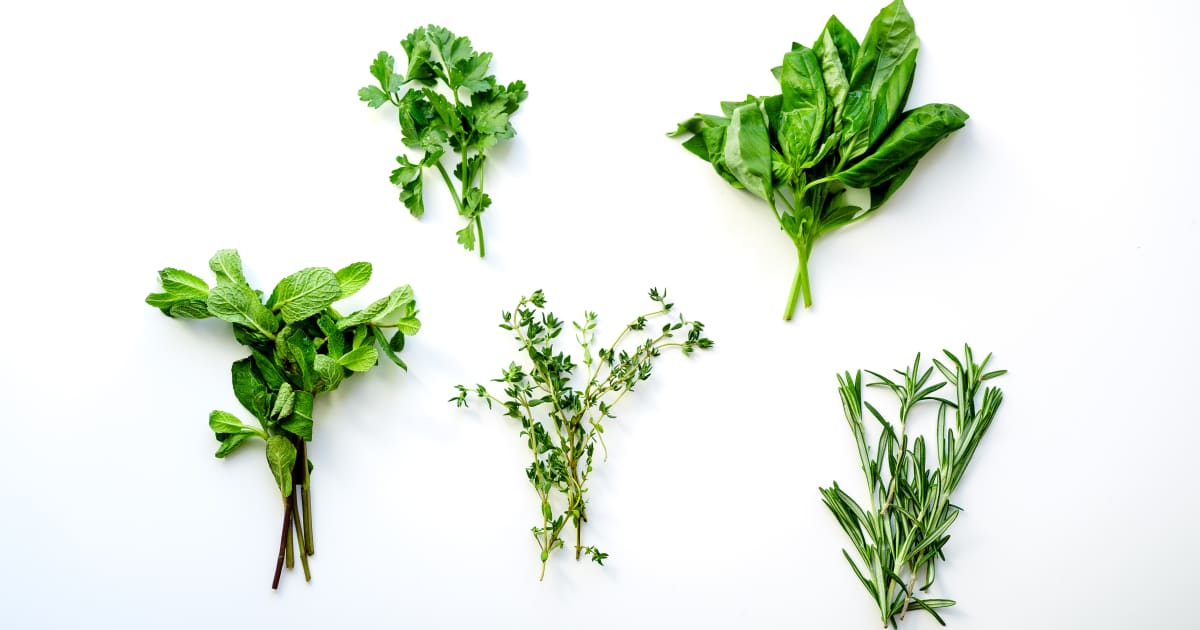 Comment conserver vos fines herbes plus longtemps | Zeste