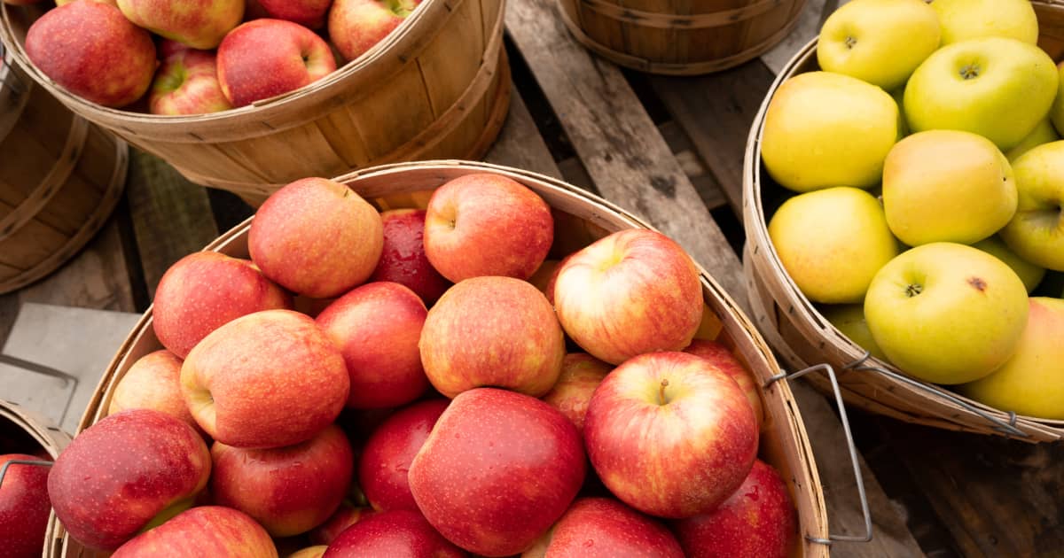 8 variétés de pommes à cueillir | Zeste