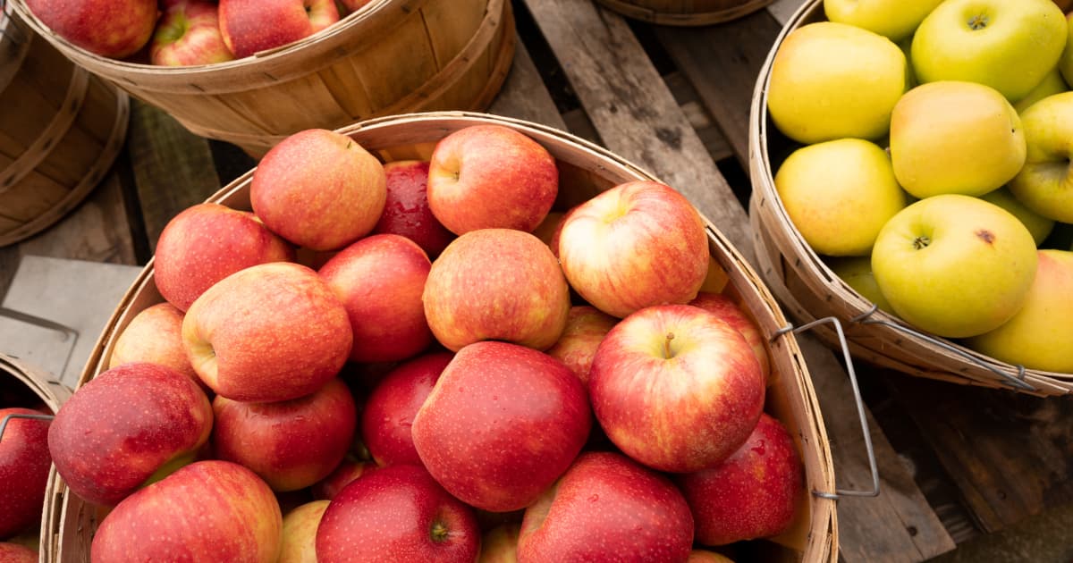 8 pommes à découvrir et cueillir en automne au Québec | Zeste