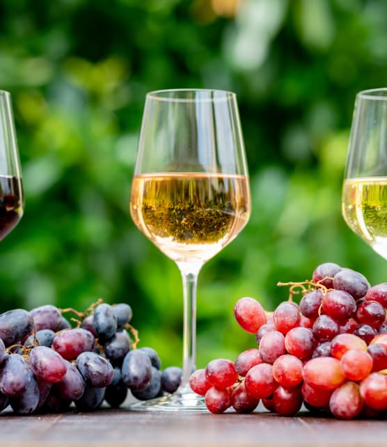 Accords mets vins, nos conseils et accords de plats | Zeste