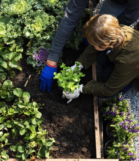 Astuces culinaires, trucs d'experts et conseils pratiques | Zeste